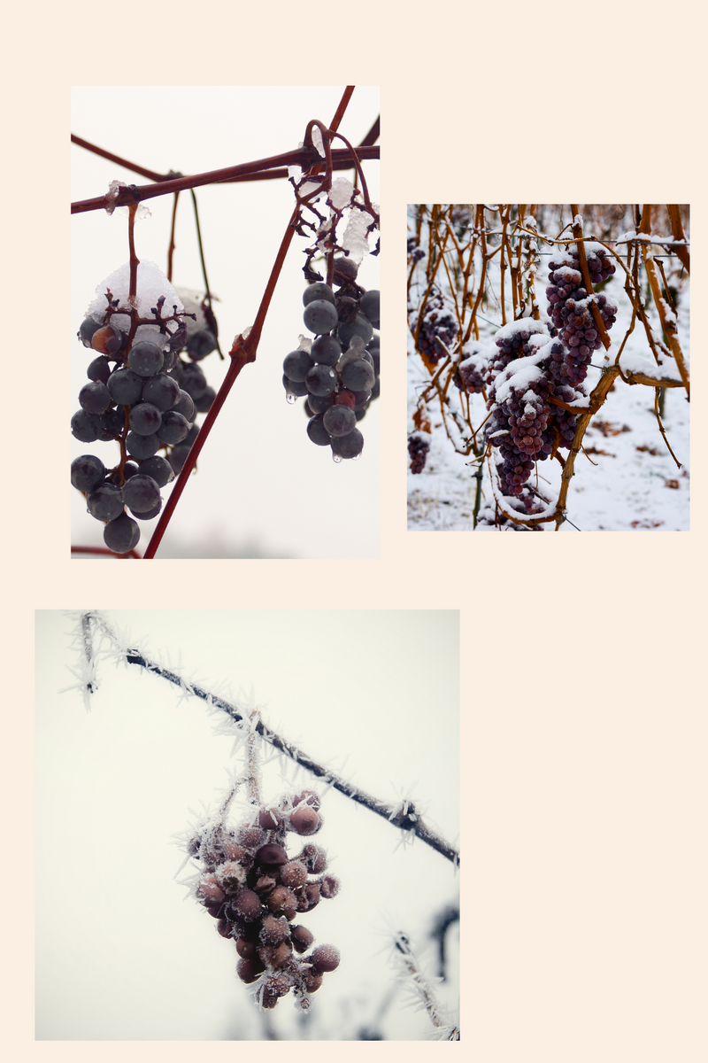 Eis Eis Baby! : February 2023 – Swirl Sip Socialise